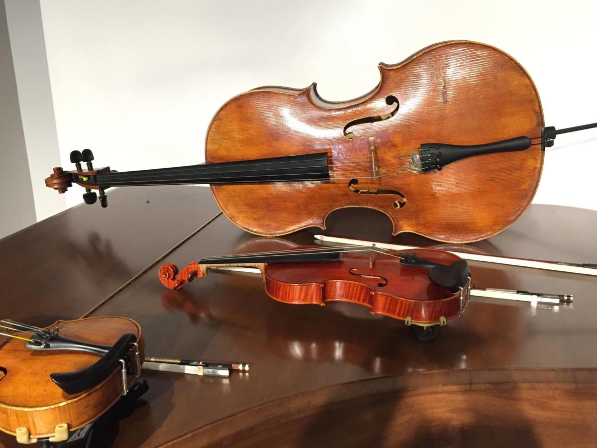 Triangle Strings | Raleigh, NC 27606
