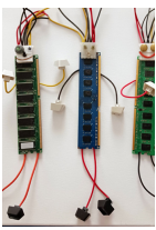 Carolyn Mitowski | Cary , NC 27511