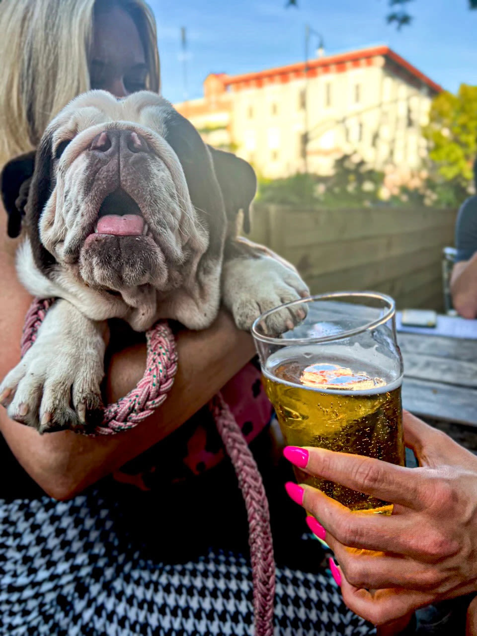 Raleigh Times Bar | Raleigh, NC 27601