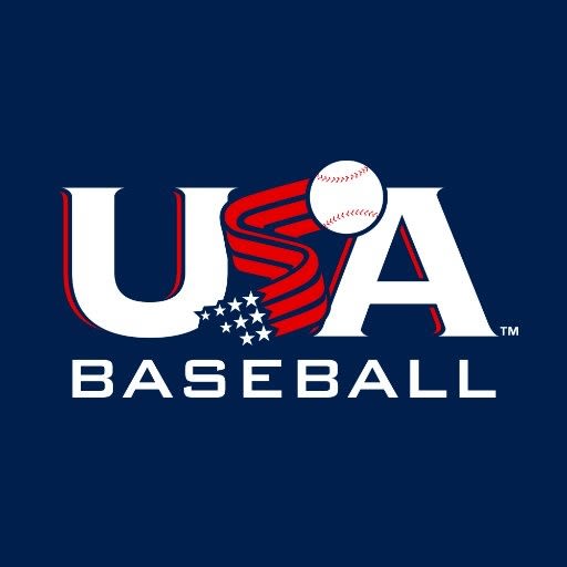 baseball logo usa