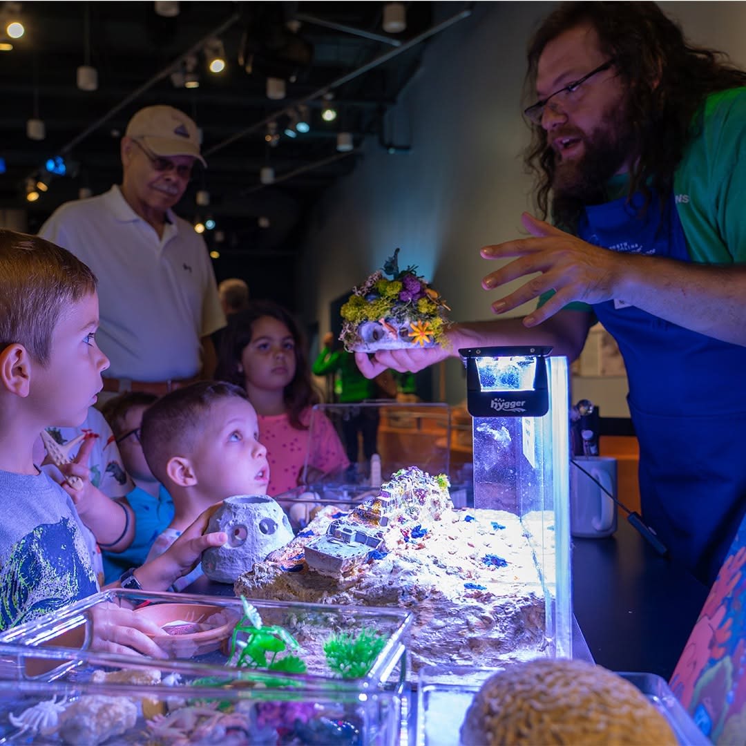 North Carolina Museum of Natural Sciences | Raleigh, NC 27601