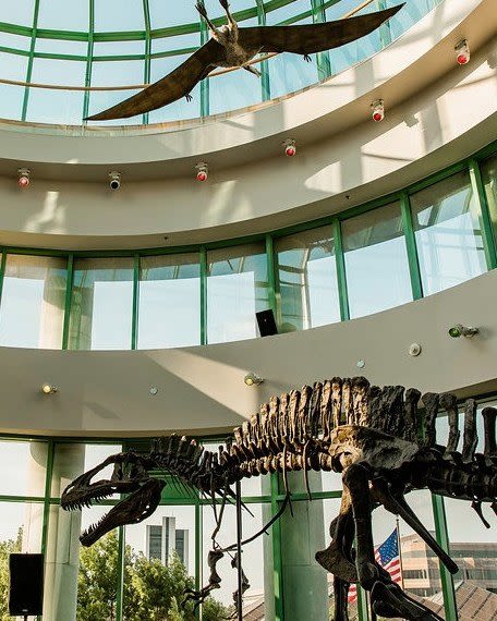 North Carolina Museum of Natural Sciences | Raleigh, NC 27601