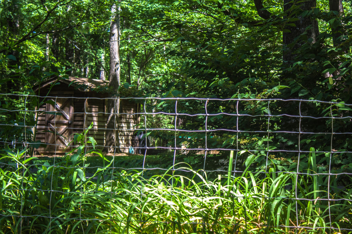 Blue Jay Point County Park | Raleigh, NC 27614