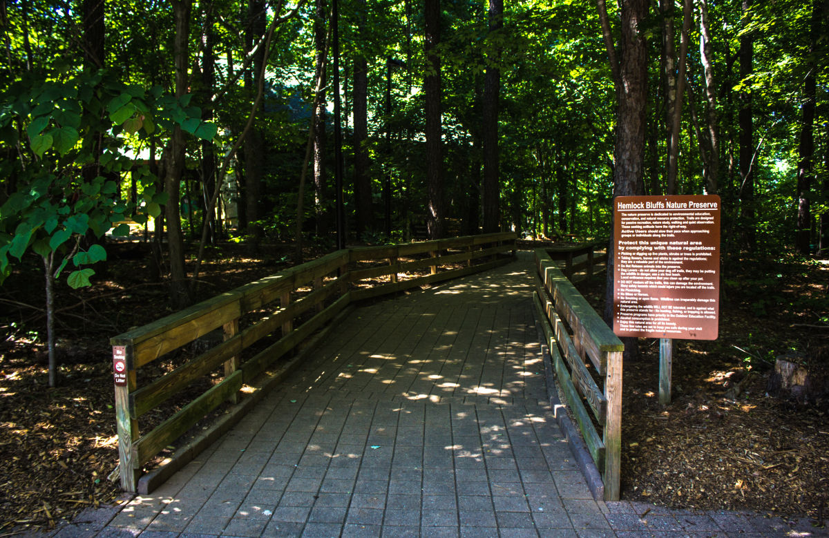 Hemlock Bluffs Nature Preserve/Stevens Nature Center | Cary, NC 27518
