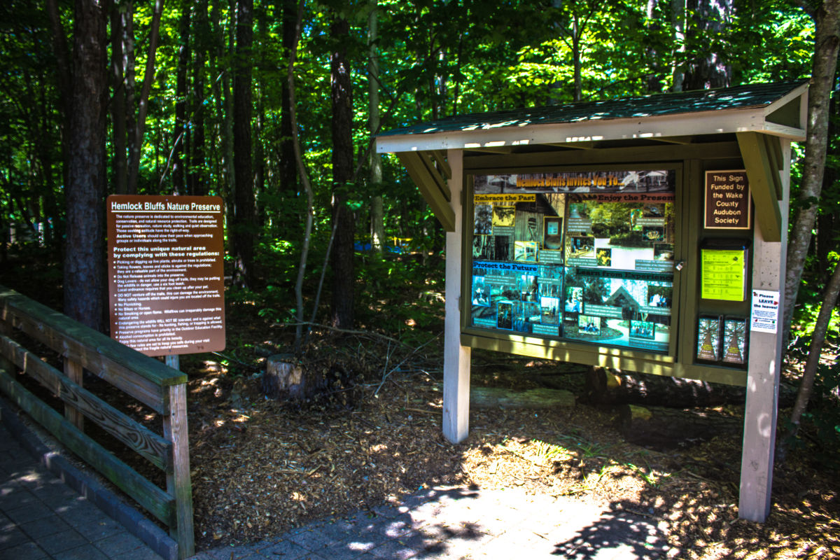 Hemlock Bluffs Nature Preserve/Stevens Nature Center | Cary, NC 27518