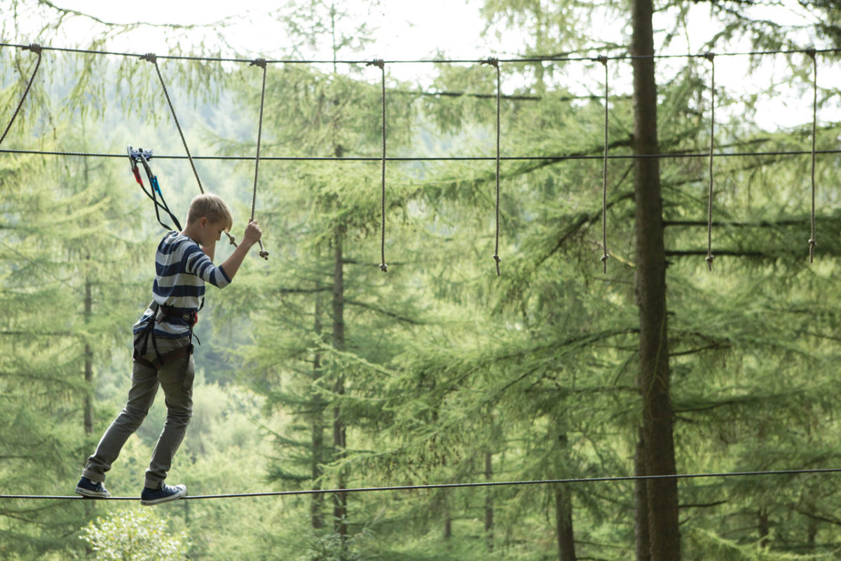 Go Ape Treetop Adventure & Treetop Journey | Raleigh, NC 27614