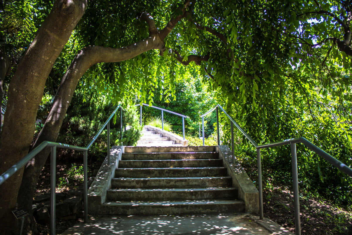 JC Raulston Arboretum at North Carolina State University | Raleigh, NC ...