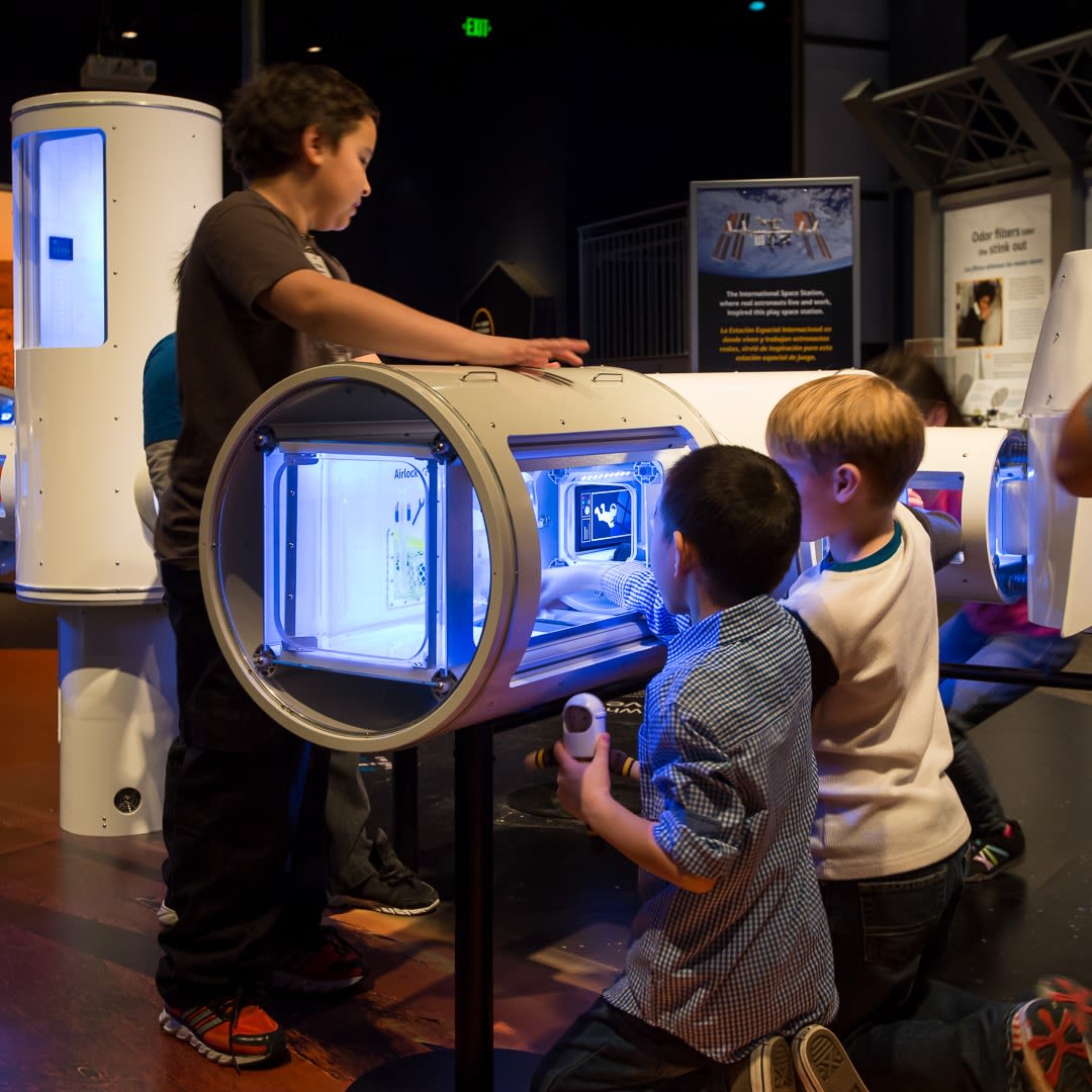 North Carolina Museum of Natural Sciences | Raleigh, NC 27601