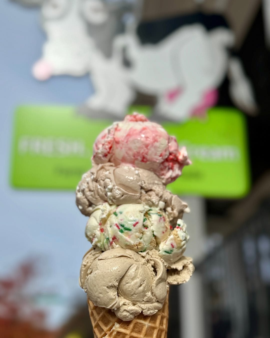 FRESH. Local Ice Cream - Cary | Cary, NC 27511