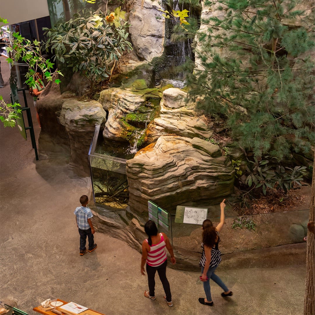 North Carolina Museum of Natural Sciences | Raleigh, NC 27601