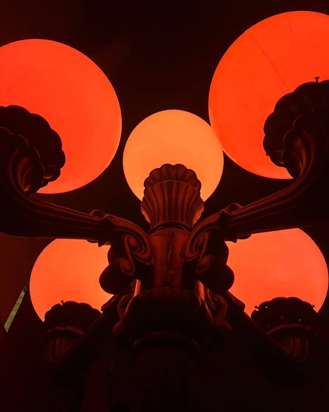 Moon Room | Raleigh, NC 27603