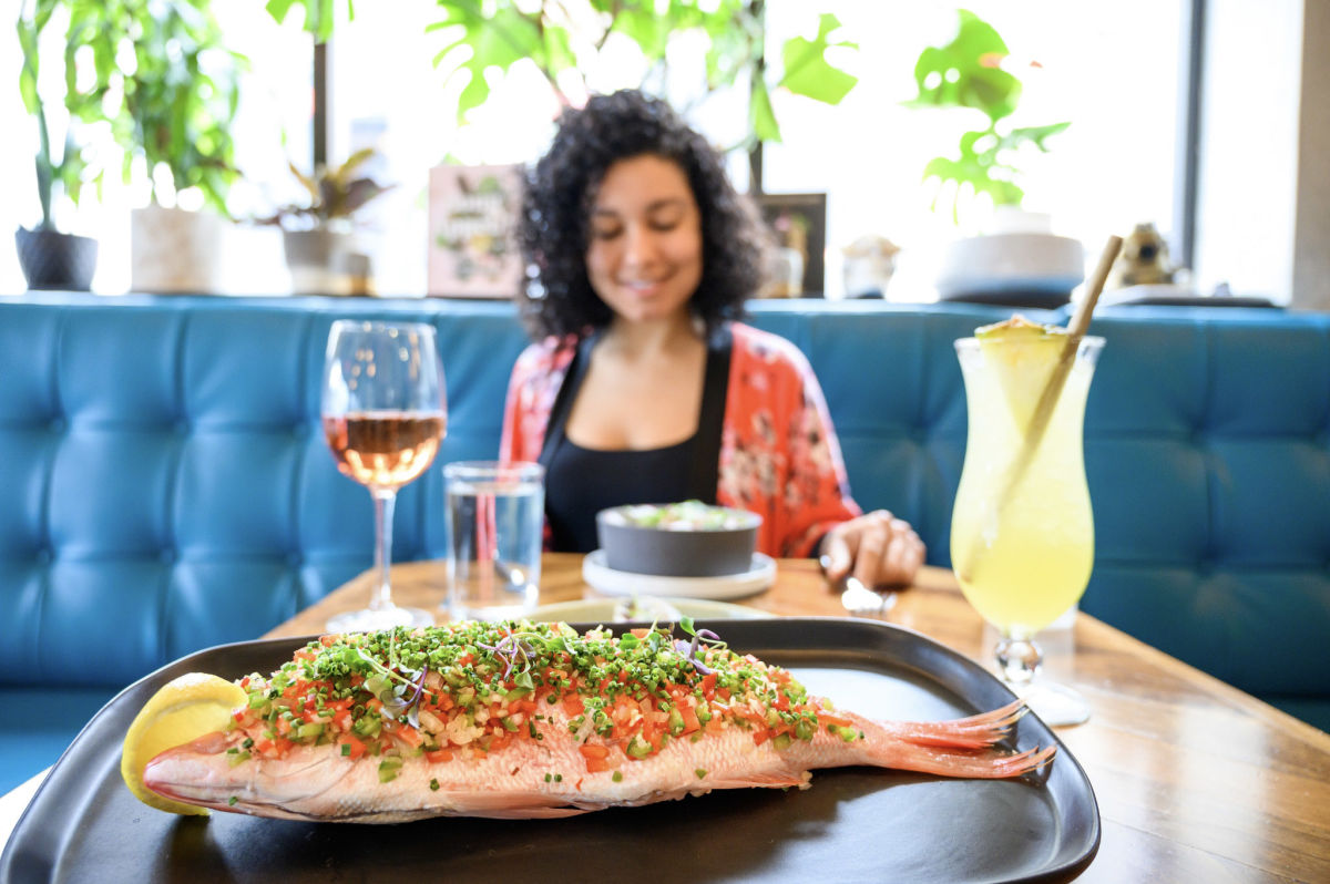 Cuya Cocina Latina | Raleigh, NC 27603