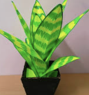 Papercraft Snake Plant | Cary, NC 27511
