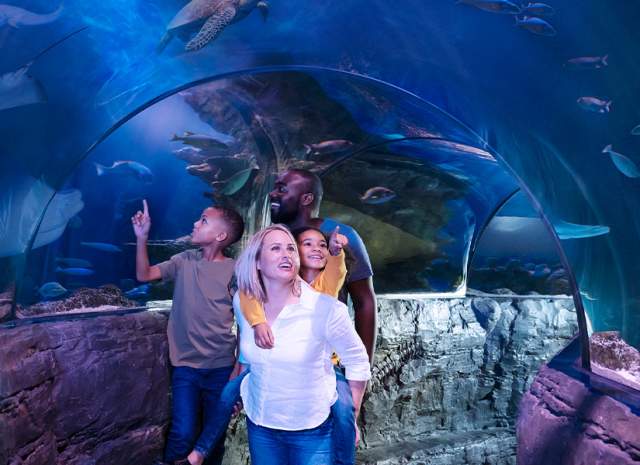 SEA LIFE