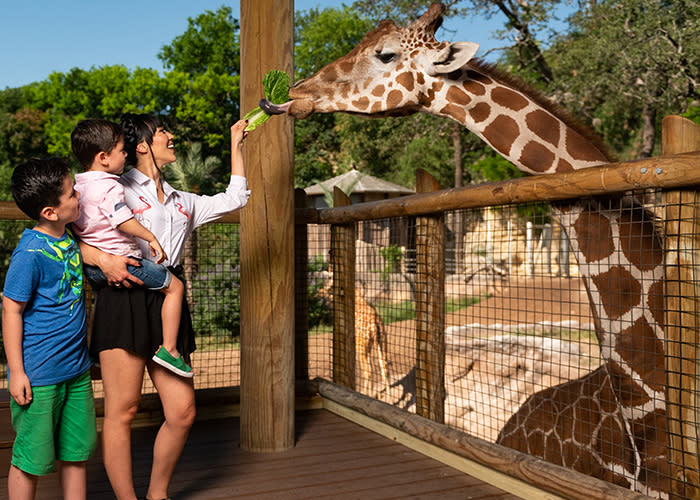 San Antonio Zoo