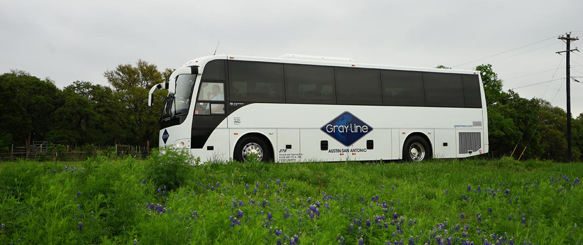 Gray Line Tours