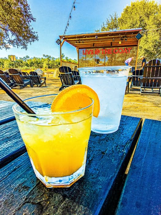 Tiny Jazz Jazz Brunch