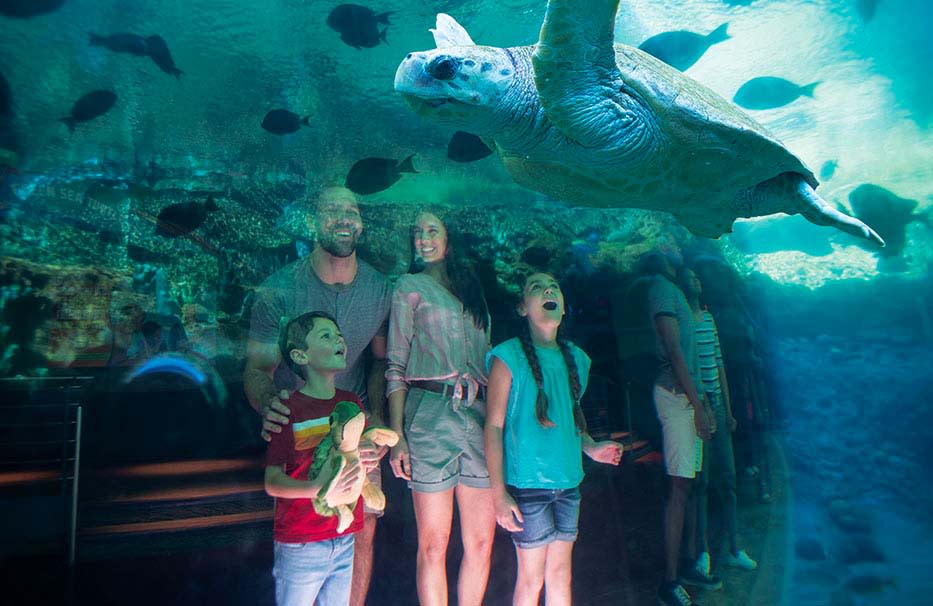 SeaWorld San Antonio