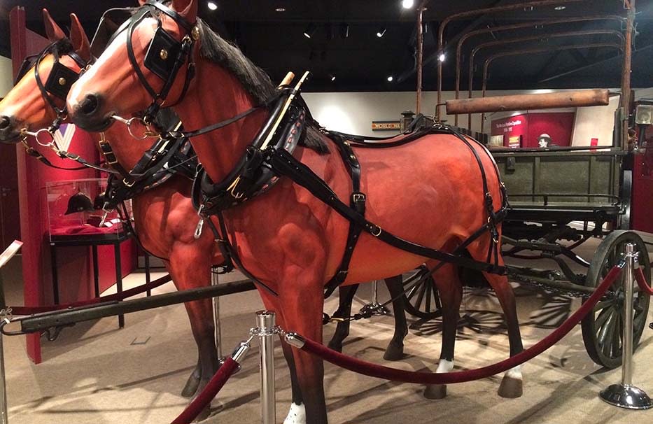 US Army Medical Department Museum (AMEDD)