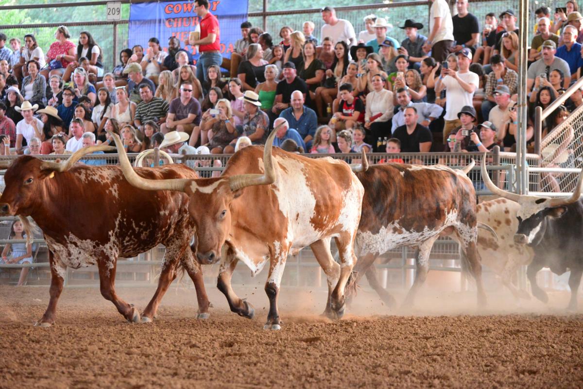 Tejas Rodeo Company