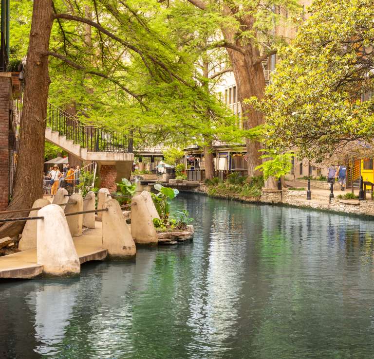 david taylor tree service