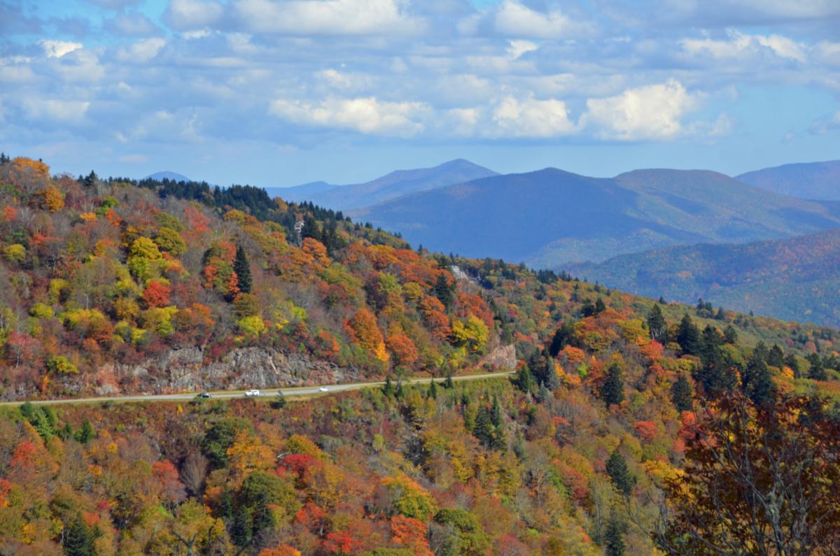 Find Out When the Leaves Change Color in the Fall Near Bryson City and ...