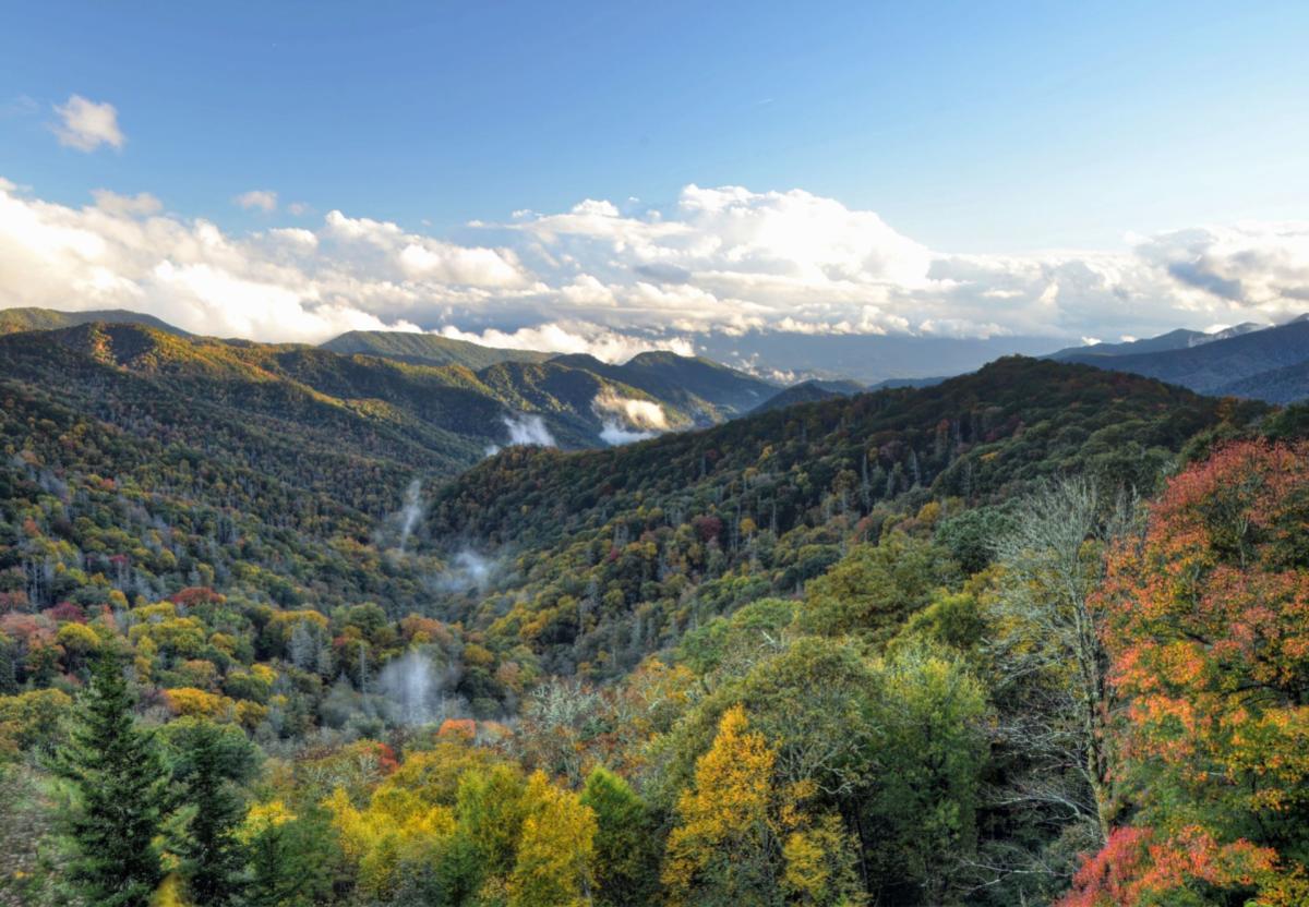 🍂 Experience Fall Colors in Bryson City | Hidden Gems of the Smokies