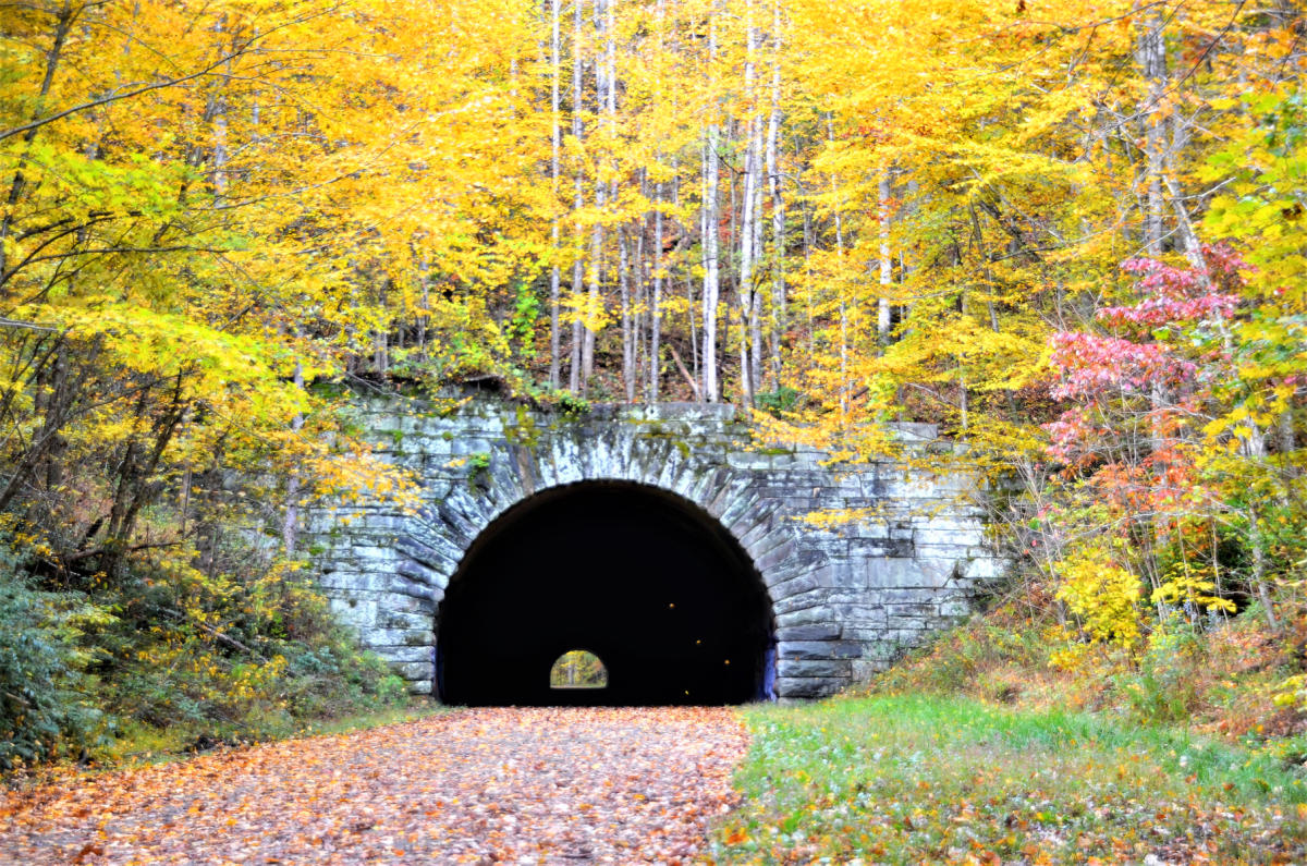 The Road Less Traveled in Bryson City