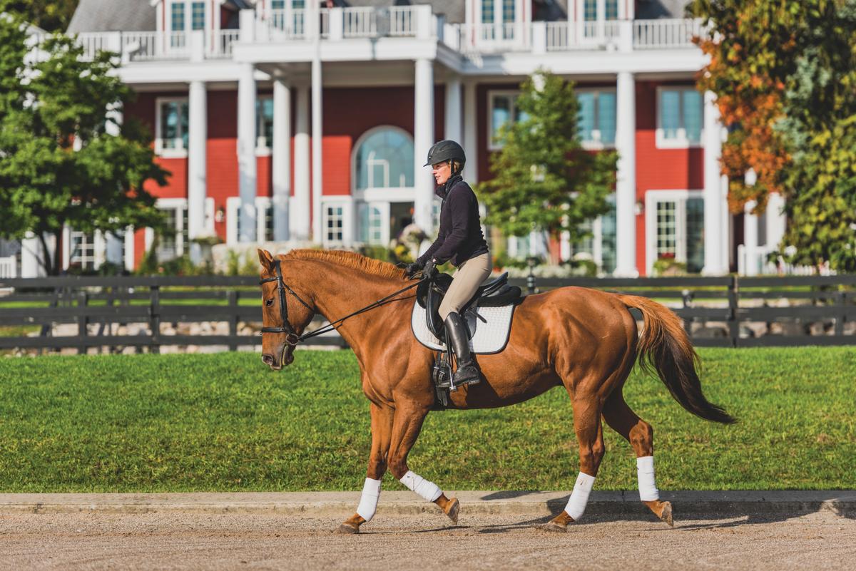 Black Star Farms | Suttons Bay, MI 49682