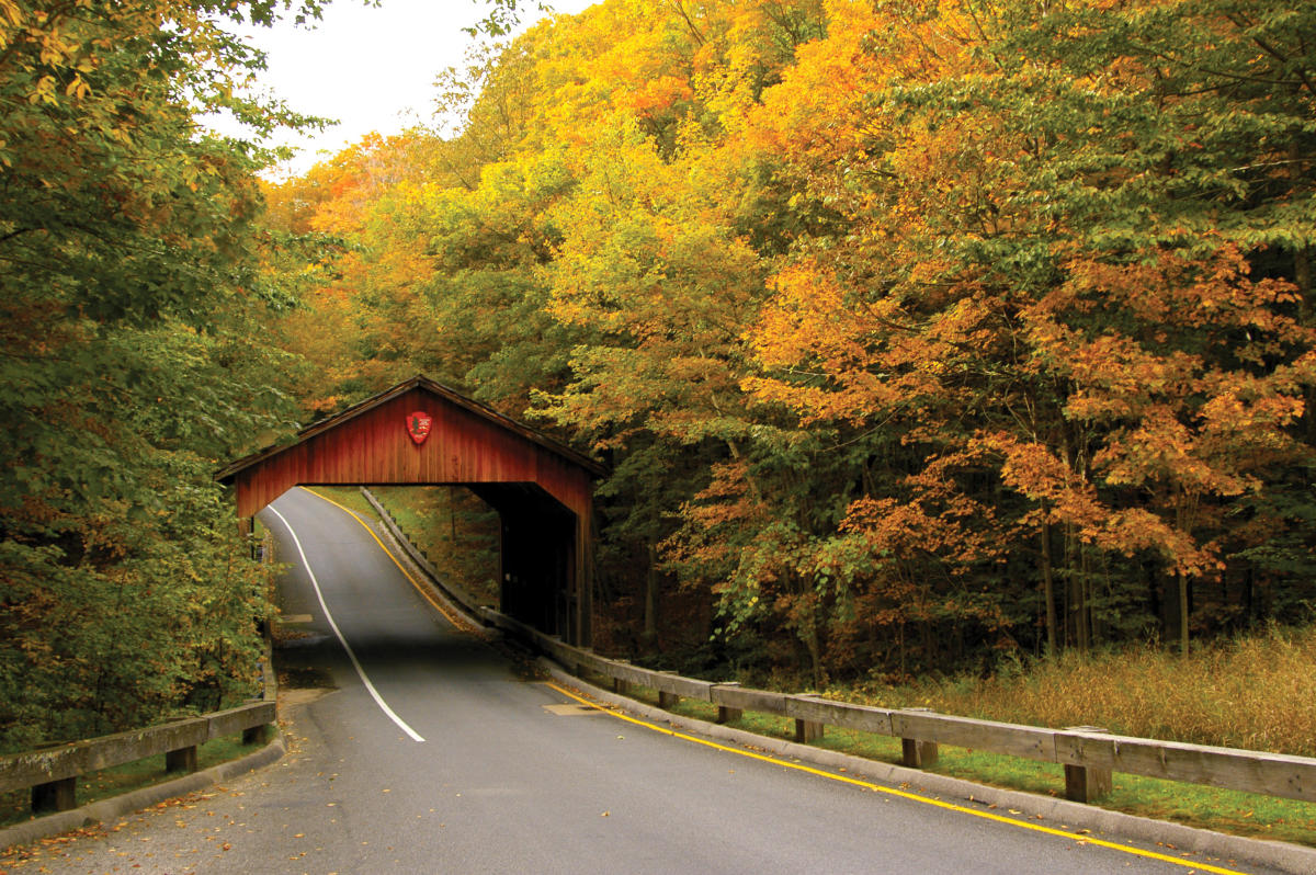 Pierce Stocking Scenic Drive-Sleeping Bear Dunes | Empire, MI 49630