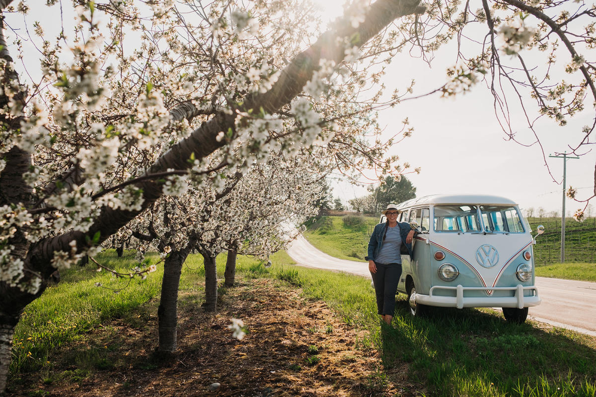 Wander with Direction