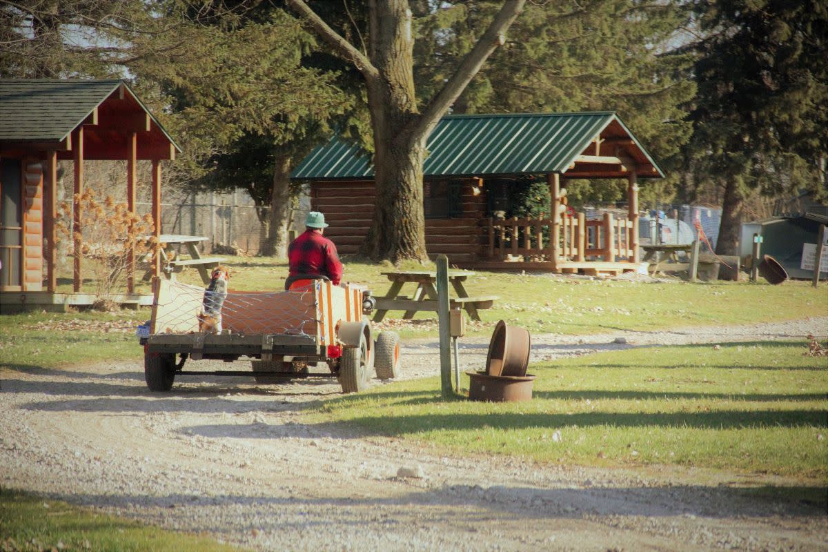 Betsie River Campsite | Frankfort, MI 49635
