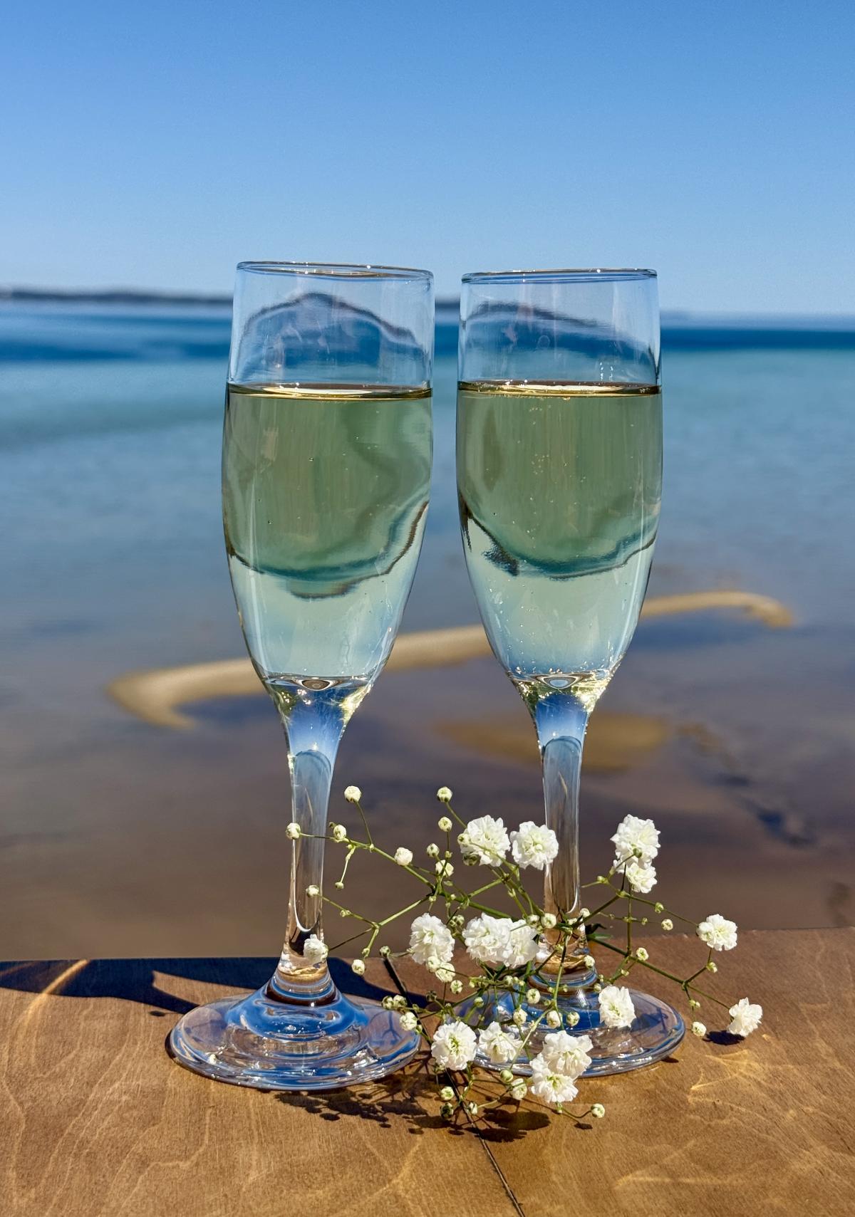 Blush Rooftop Terrace at Alexandra Inn | Traverse City, MI 49686