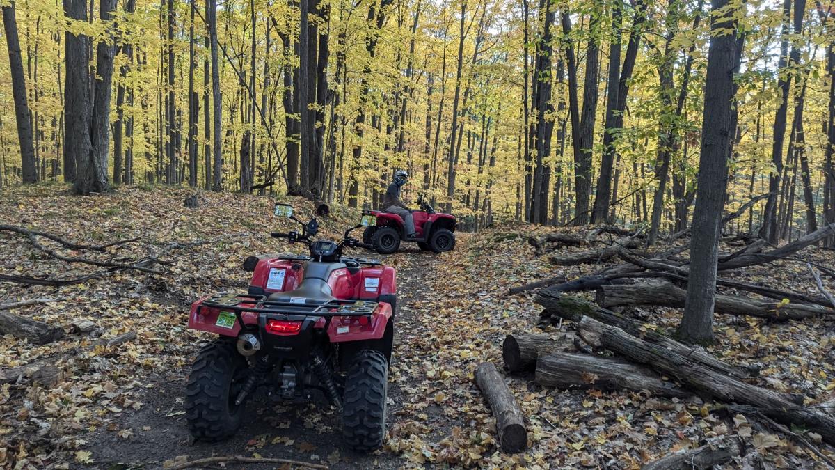 TC Trailsports | Traverse City, MI 49696