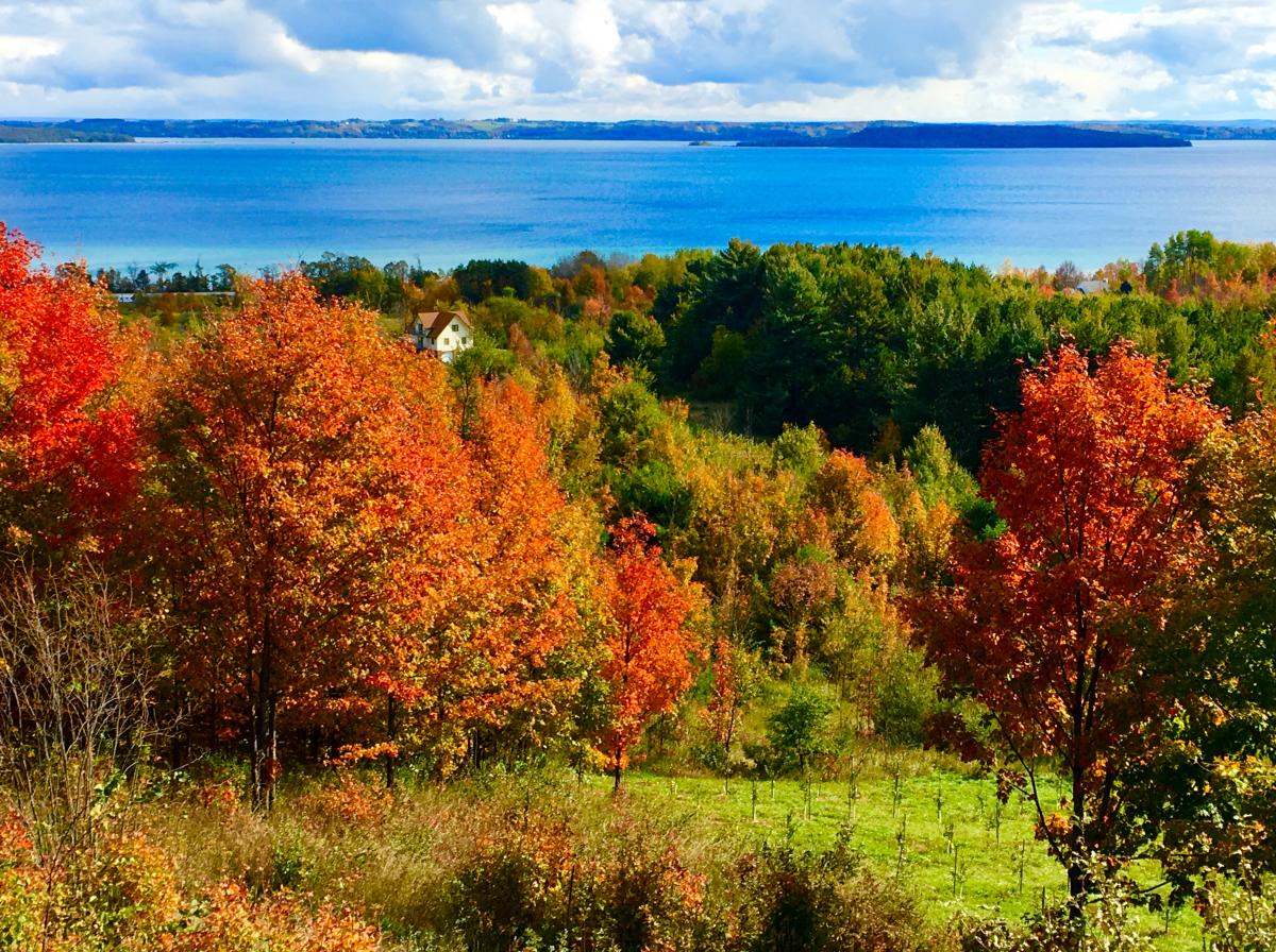Suttons Bay Ciders | Suttons Bay, MI 49682