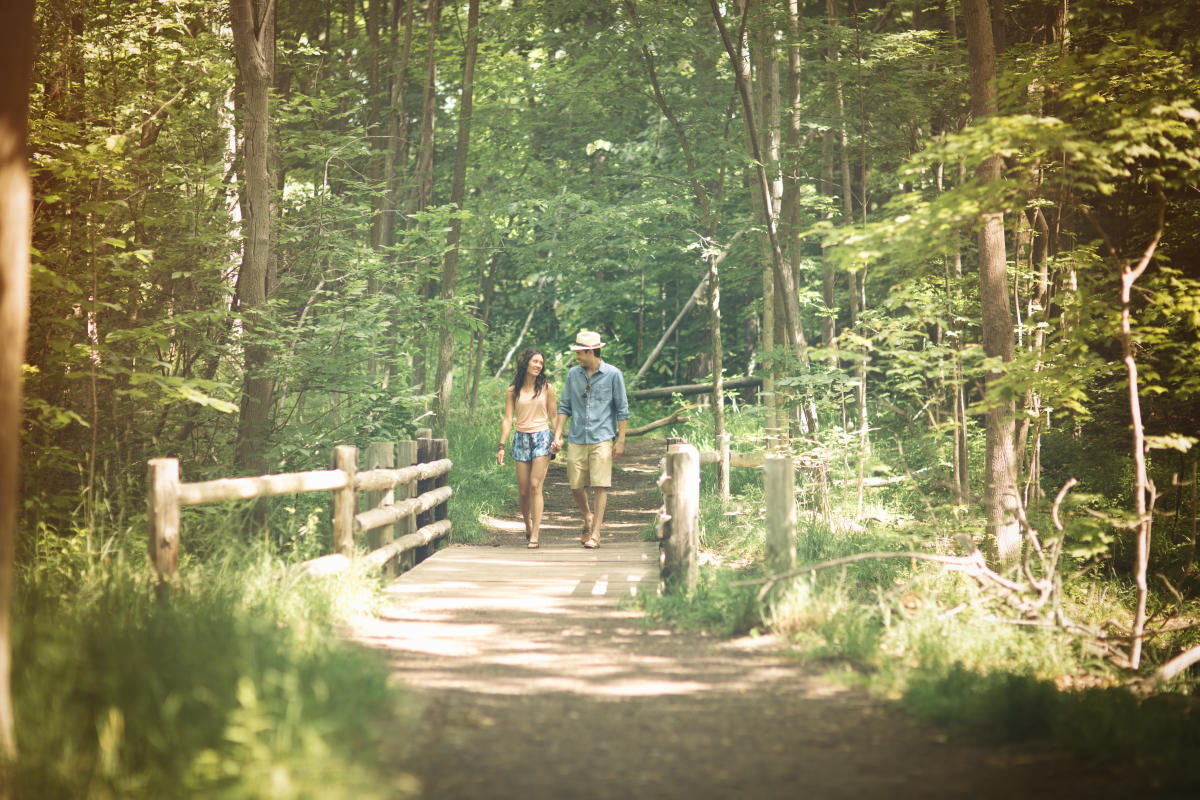 The Grand Traverse Commons Natural Area | Traverse City, MI 49684