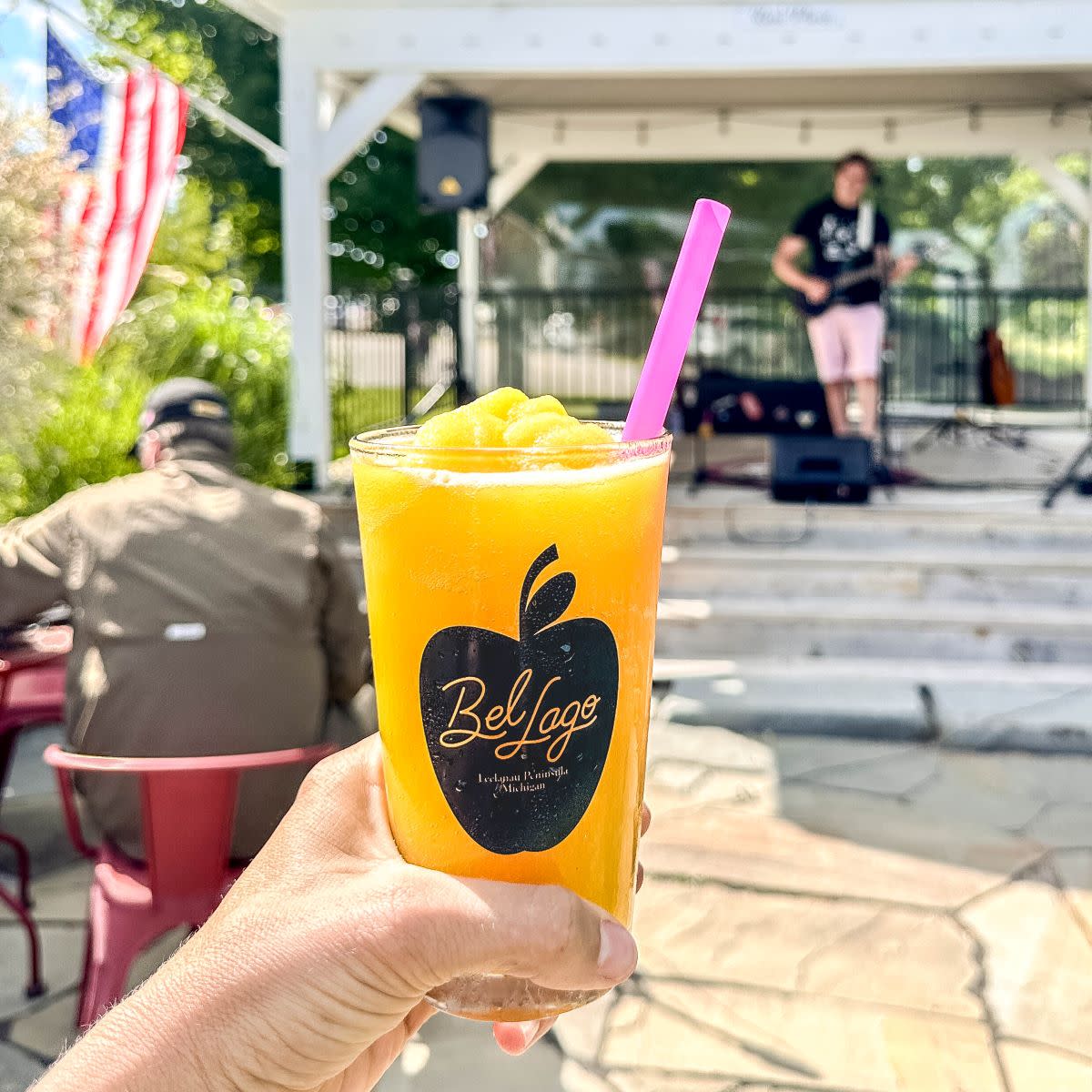 Bel Lago Vineyards and Winery | Cedar, MI 49621