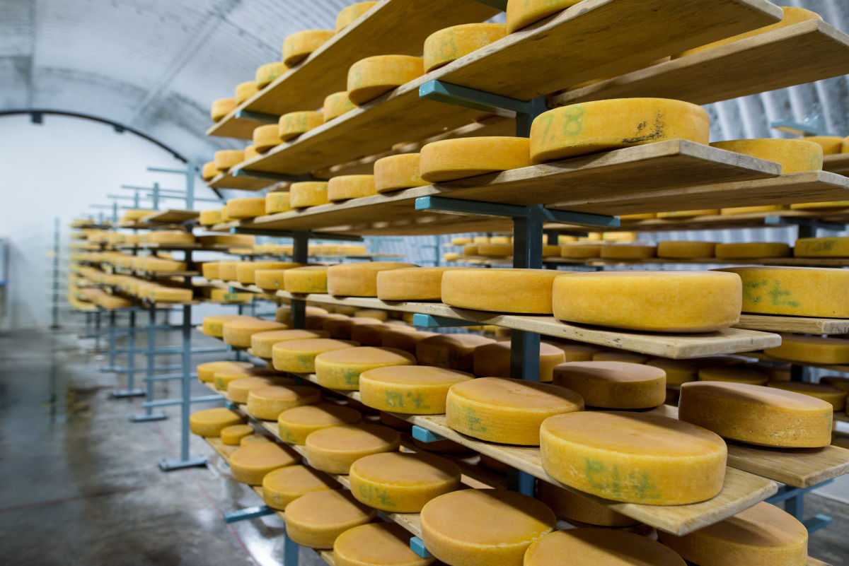 Leelanau Cheese Company | Suttons Bay, MI 49682