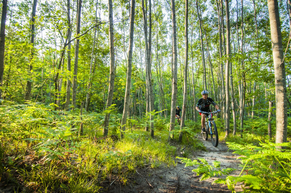 Lost Lake Pathway | Interlochen, MI 49643