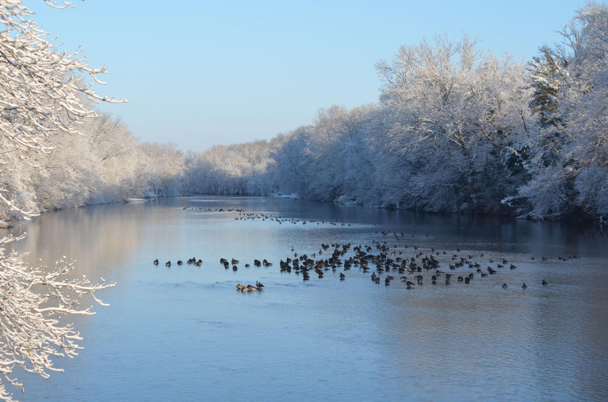 Central Perkiomen Valley Park