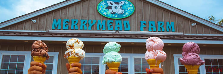 Best Ice Cream in Montgomery County, PA | Local Shops & Treats