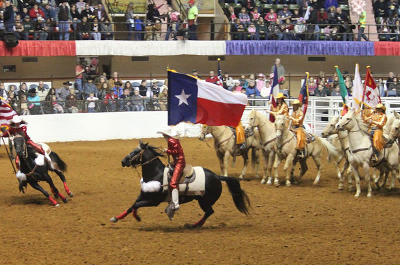 Fort Worth Stockshow & Rodeo